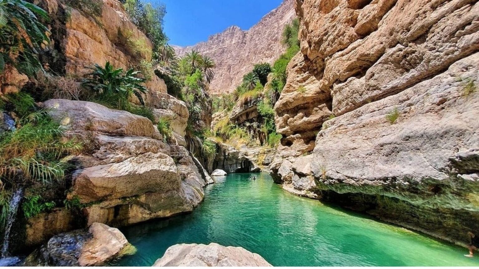 Home - Myricae Agenzia Viaggi